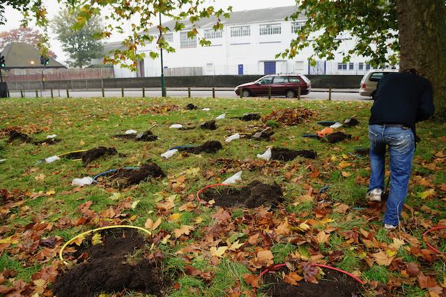 Legacy planting with Hackbridge Primary School – Hackbridge ...