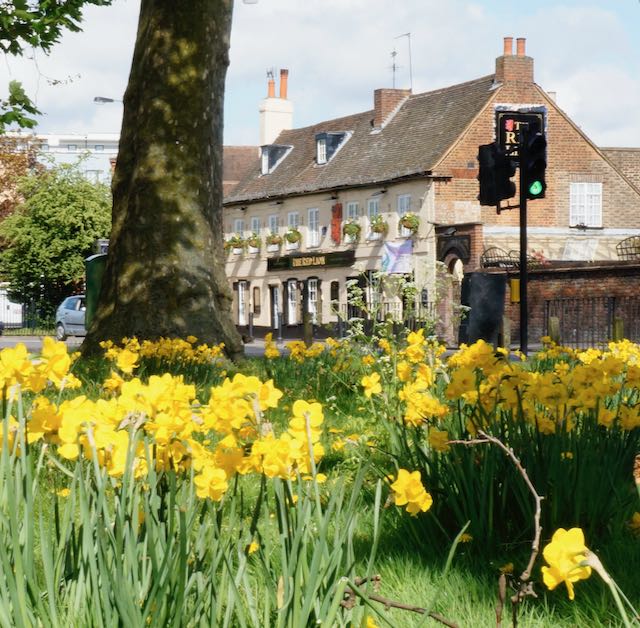 Legacy planting with Hackbridge Primary School – Hackbridge ...